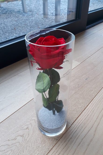 Eternal rose in vase - Anne Duchateau Europe - Flowers & Plants ...